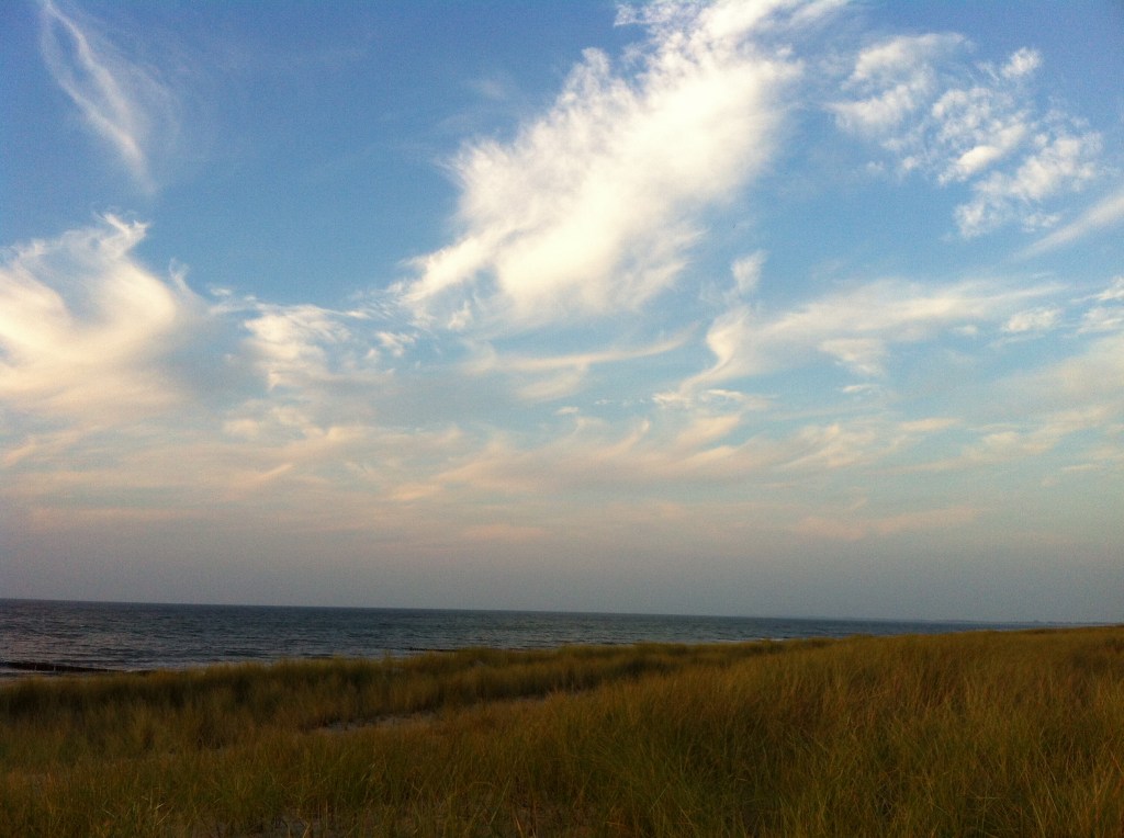 Der Rostocker Greif | Wächter, Wappen, Wesen der Stadt – ostseeliebe ...